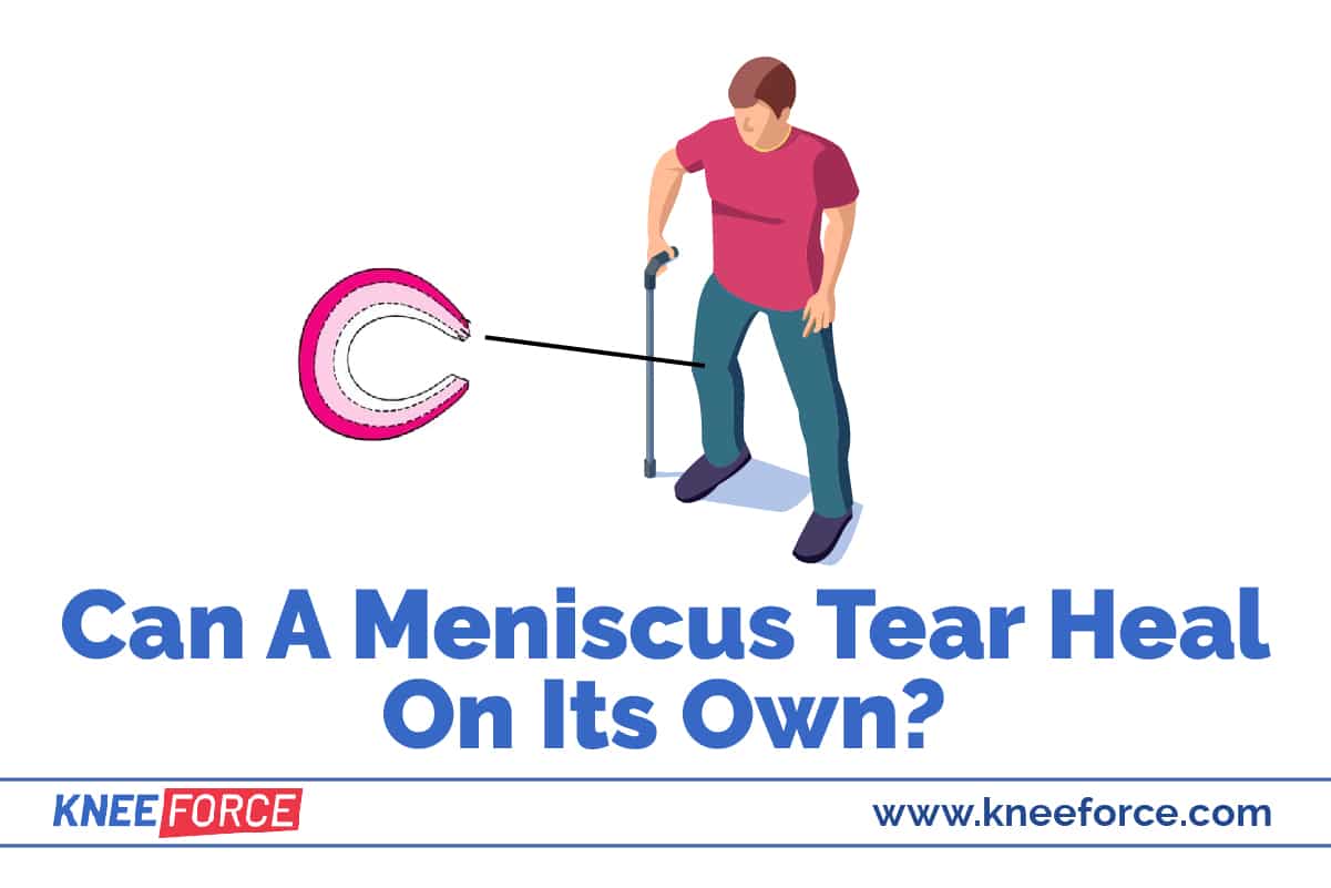 What Happens If You Leave A Torn Meniscus Untreated? › Knee Force